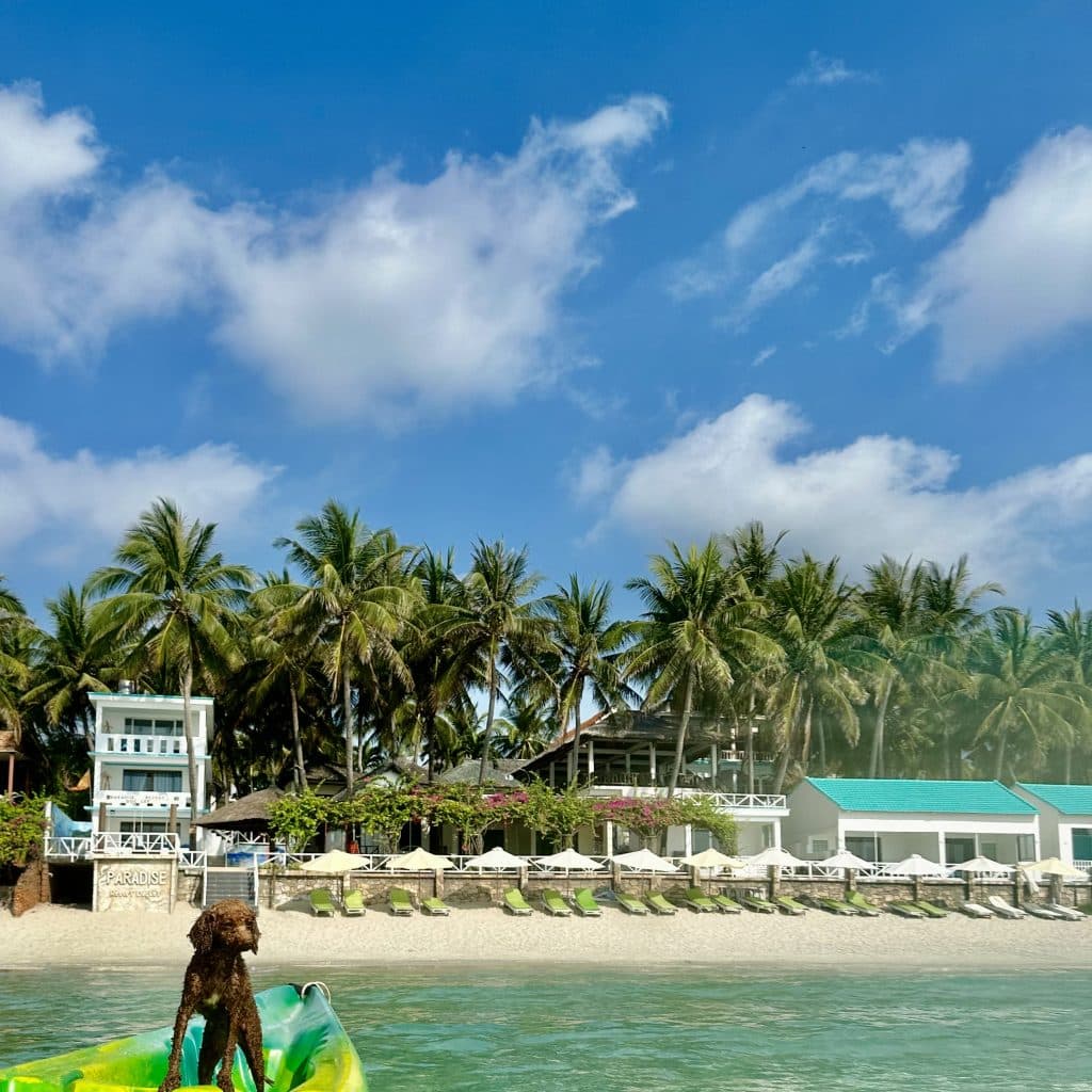 Top 7 Things to Do at Doc Let Beach for a Relaxing Getaway – Paradise ...